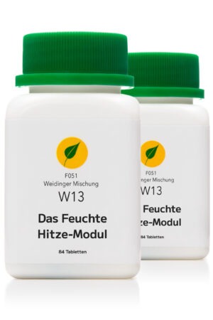 Weidinger W13 — Das Feuchte Hitze–Modul | Online kaufen