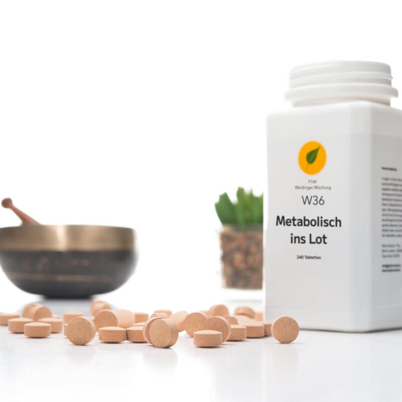 Wei–Qi Mangel | meine-TCM.com