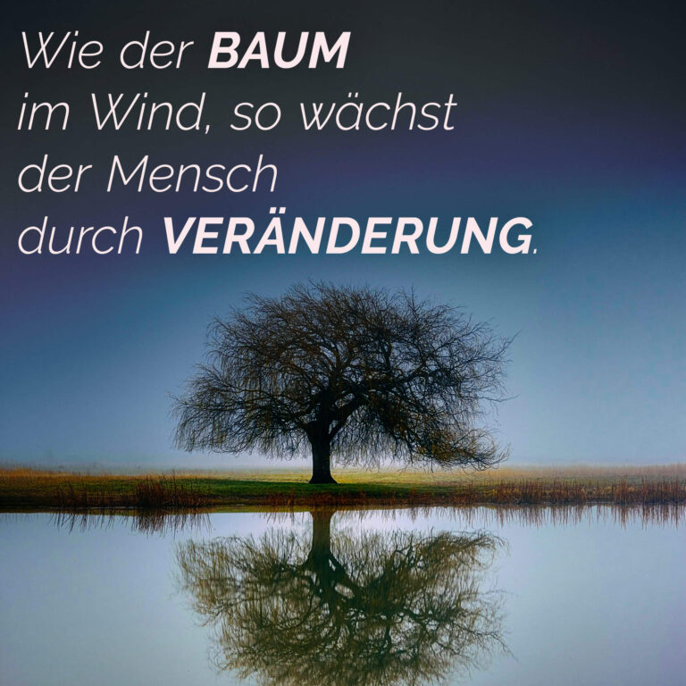 Bladder Meridian | my-TCM.com