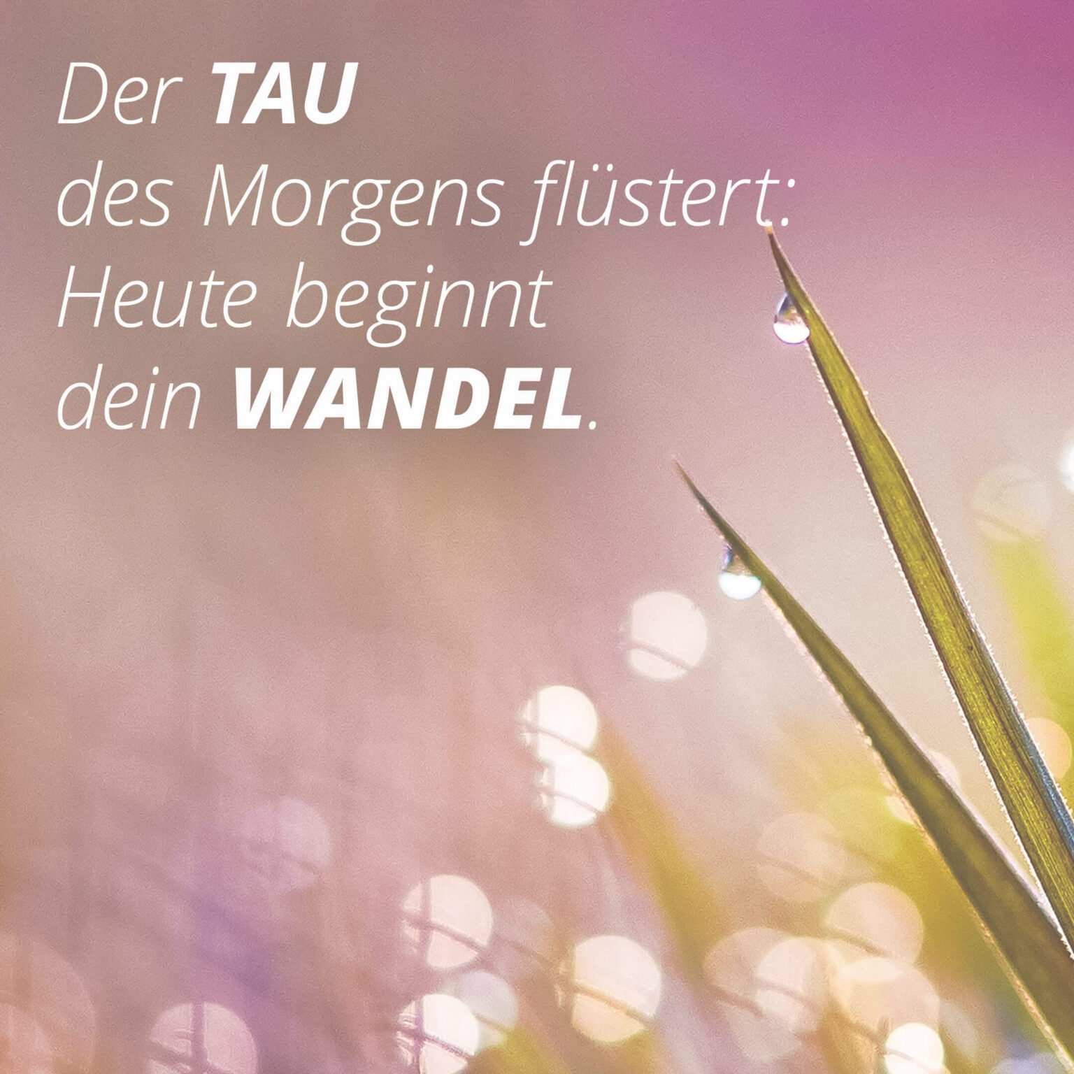 Akupunkturatlas | Wo liegen die wichtigsten Akupunkturpunkte?