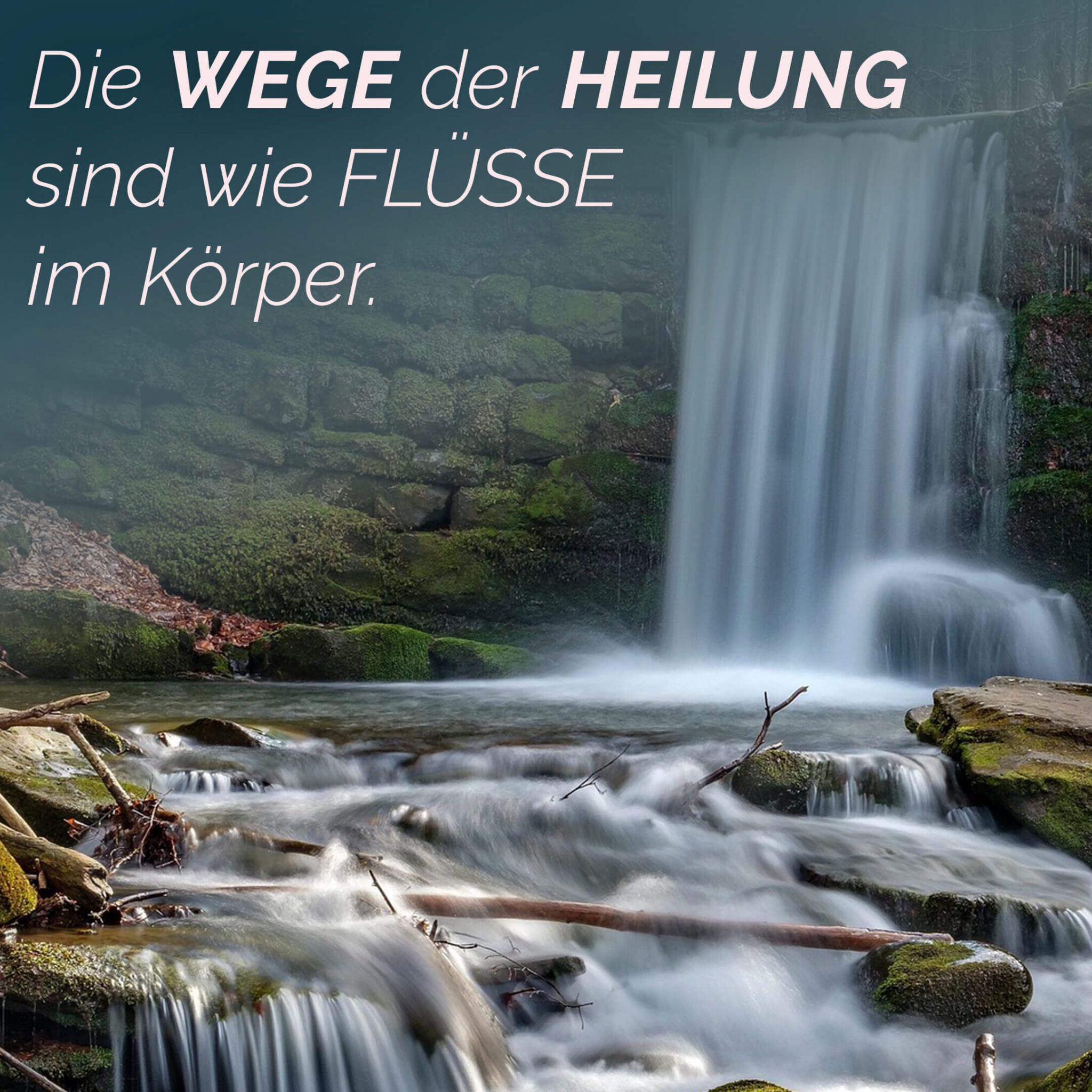 Meridiane aktivieren: Mehr Energie & Balance mit TCM