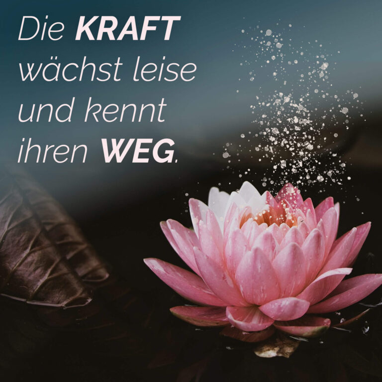 Small Intestine Meridian | my-TCM.com